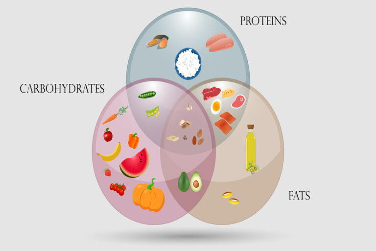Understanding Macronutrients - Total Gym Pulse