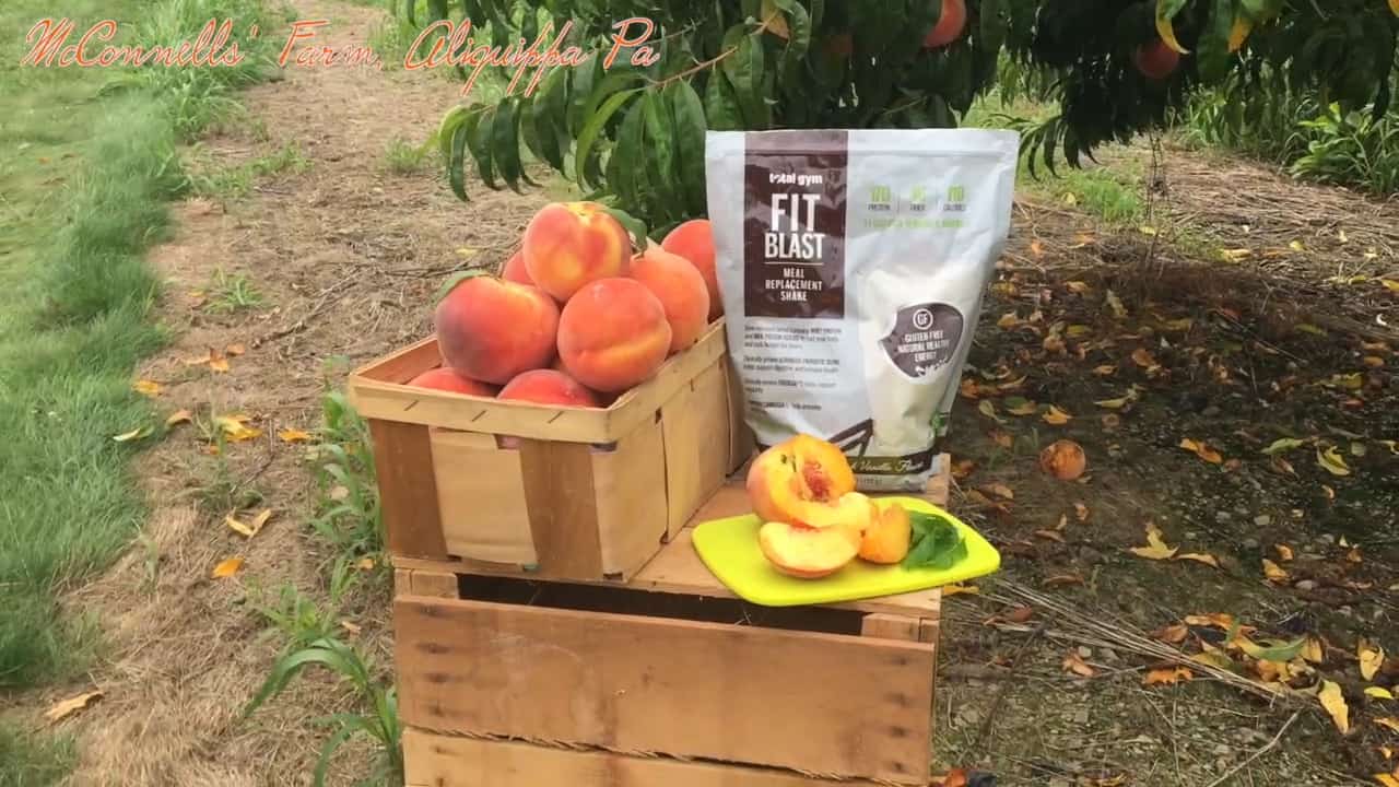 Peach FIT Blast Protein Shakes - Total Gym Pulse