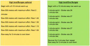 Total Gym Row Trainer Workout - Total Gym Pulse